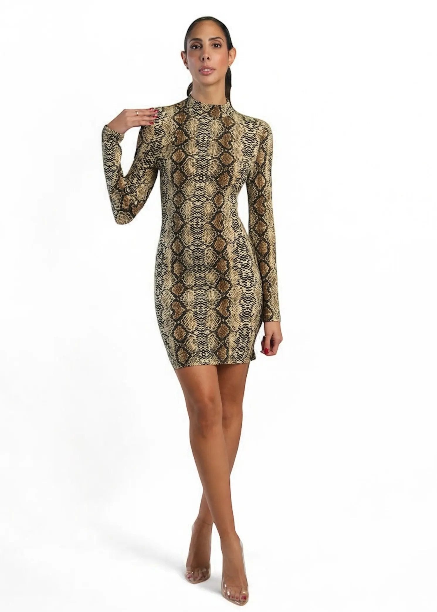 LONG SLEEVE SNAKE PRINT DRESS